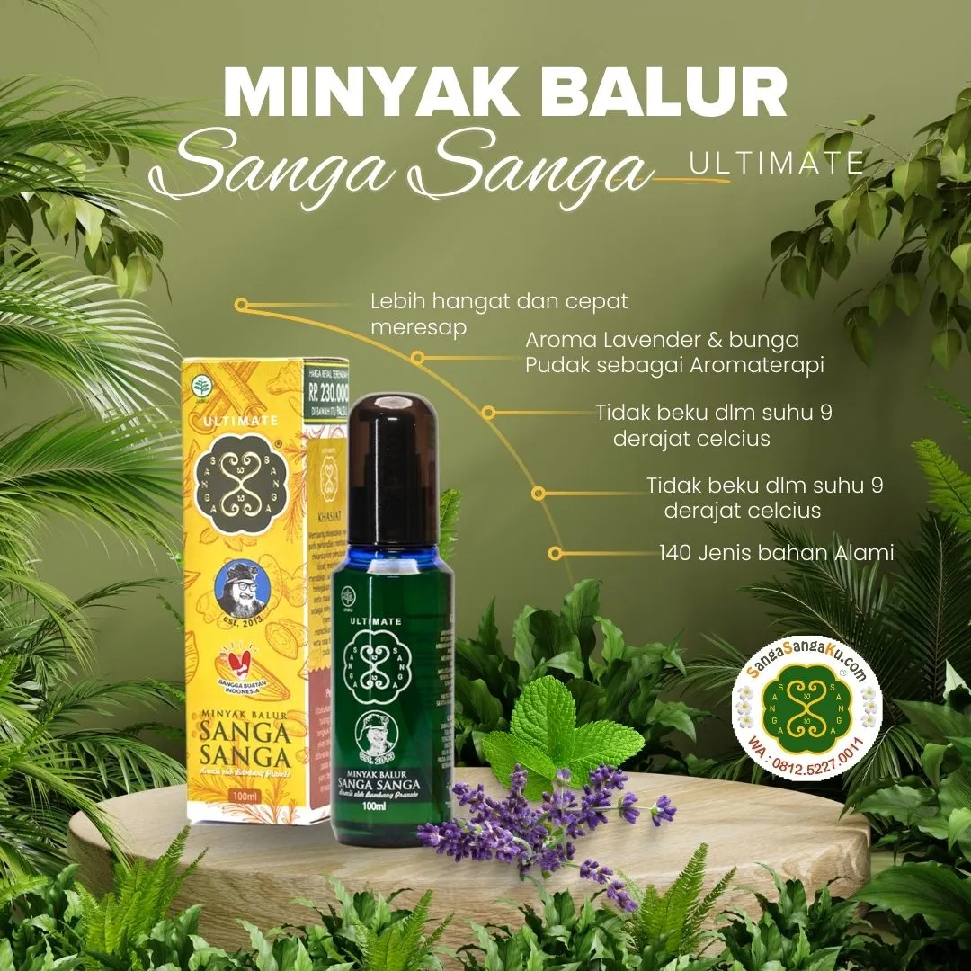 Apa Itu Minyak Sanga Sanga Ultimate, Berapa Harganya, dan Apa Manfaat ...